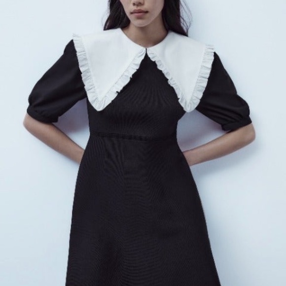 Zara | Dresses | Nwt Zara Peter Pan Collar Black Dress Gothic Lolita ...